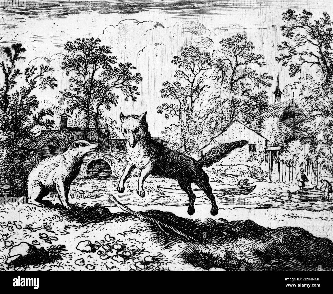 ILLUSTRATION DU ROMAN RENART: 1650/1655 À: 21-BADGER, QUE LE RENARD ...