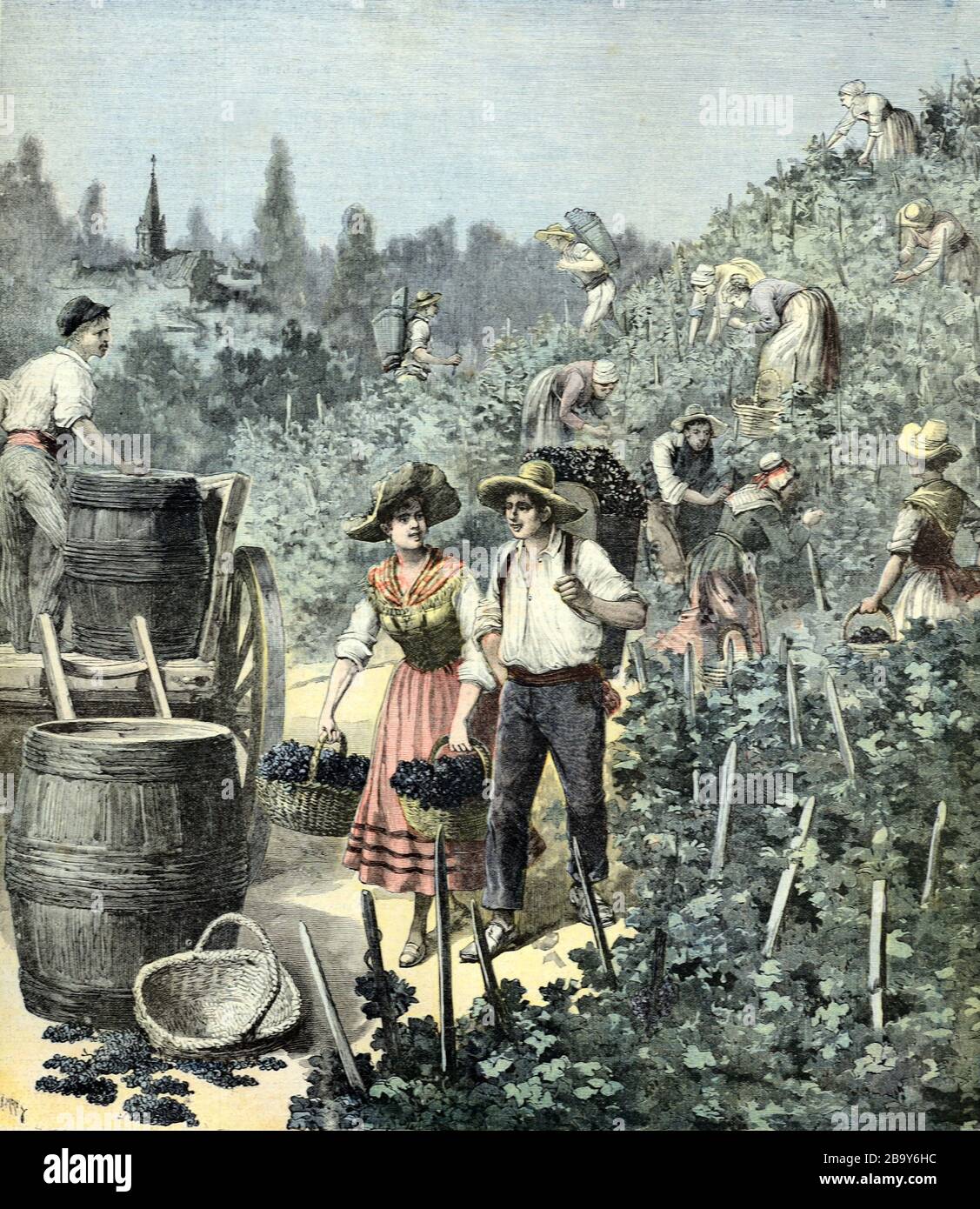 La récolte de raisin ou la récolte de raisins France 1891. Vintage ou ...