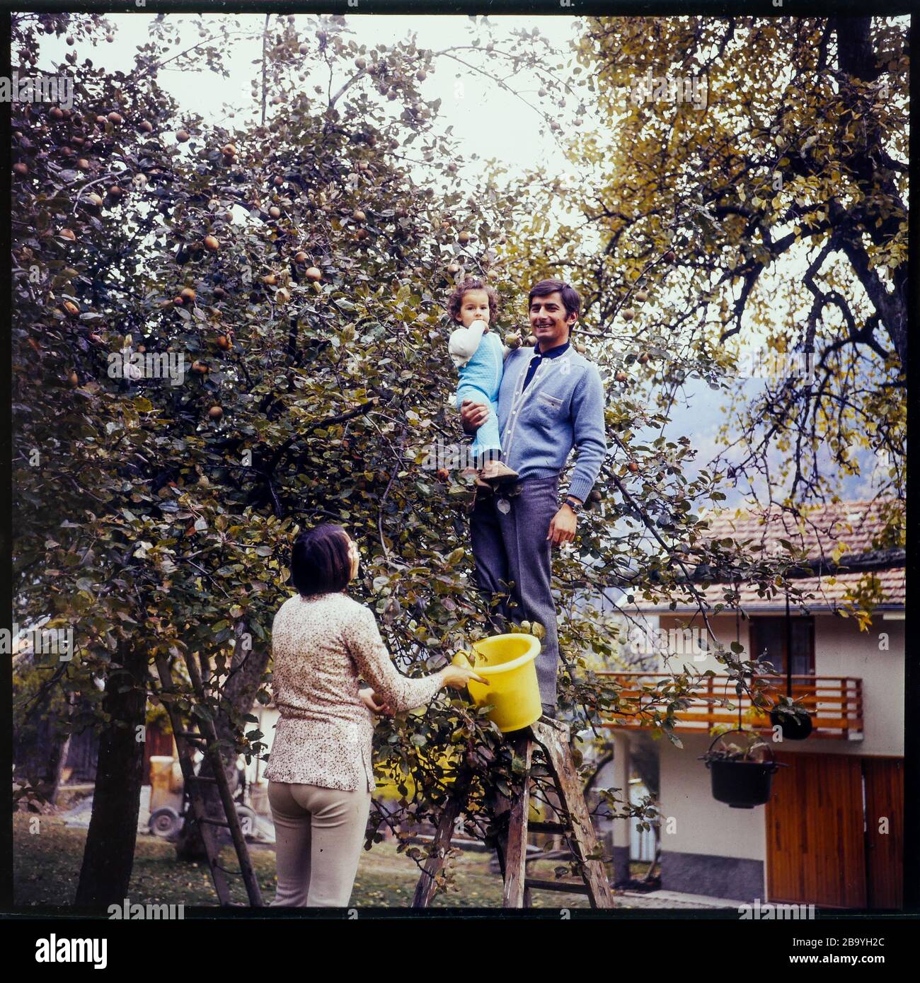 Archives 70:Jean Beranger, entraîneur de l'équipe de ski olympique ...