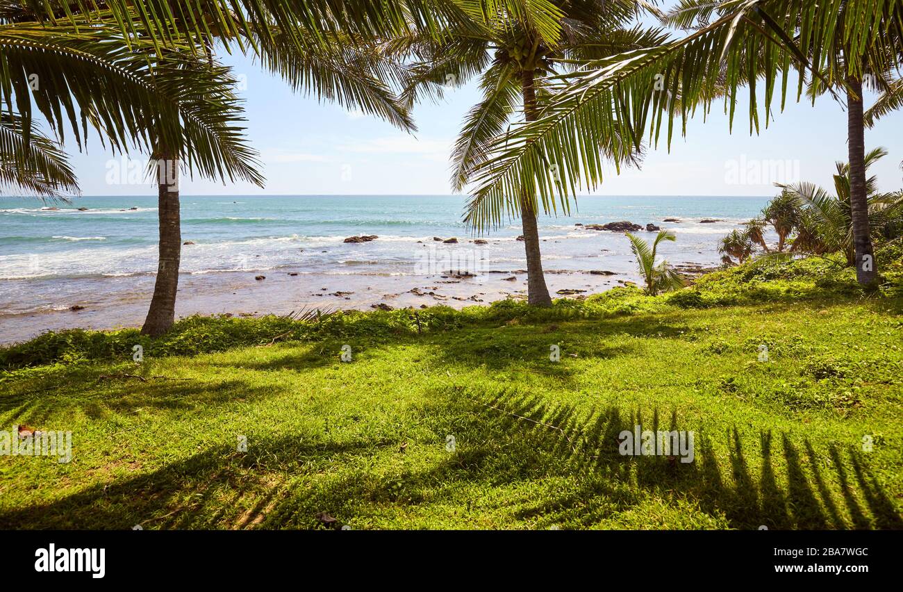 Paysage de mer tropicale avec palmiers Banque de photographies et d ...