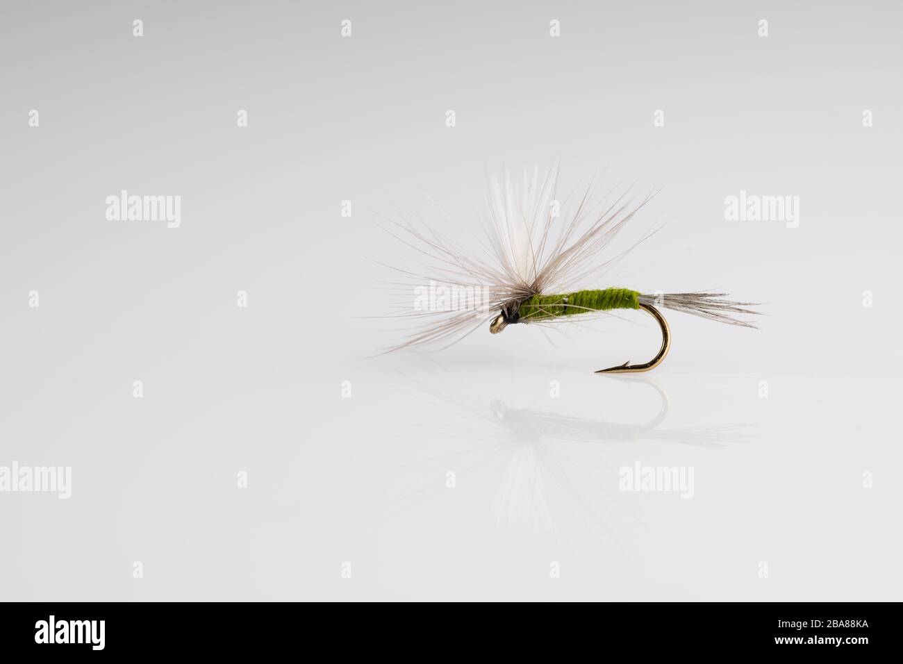 La pêche à la mouche sèche à la pachute à ailes bleues traditionnelle ...