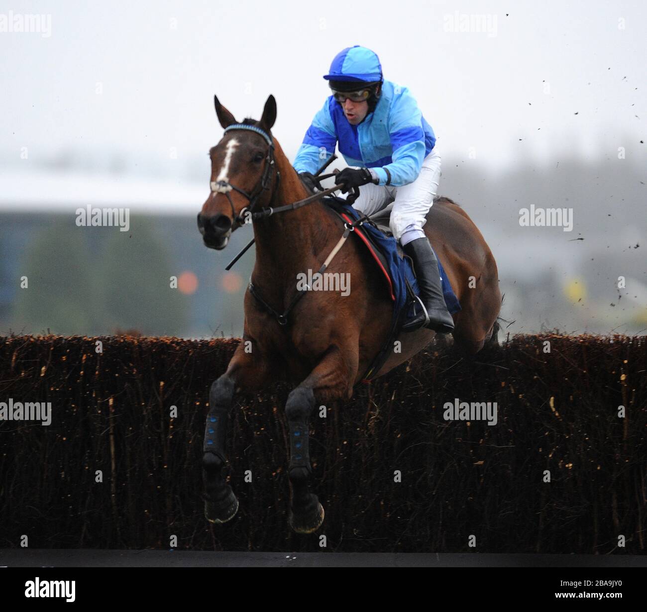 Cheval alice monté Banque de photographies et d’images à haute ...