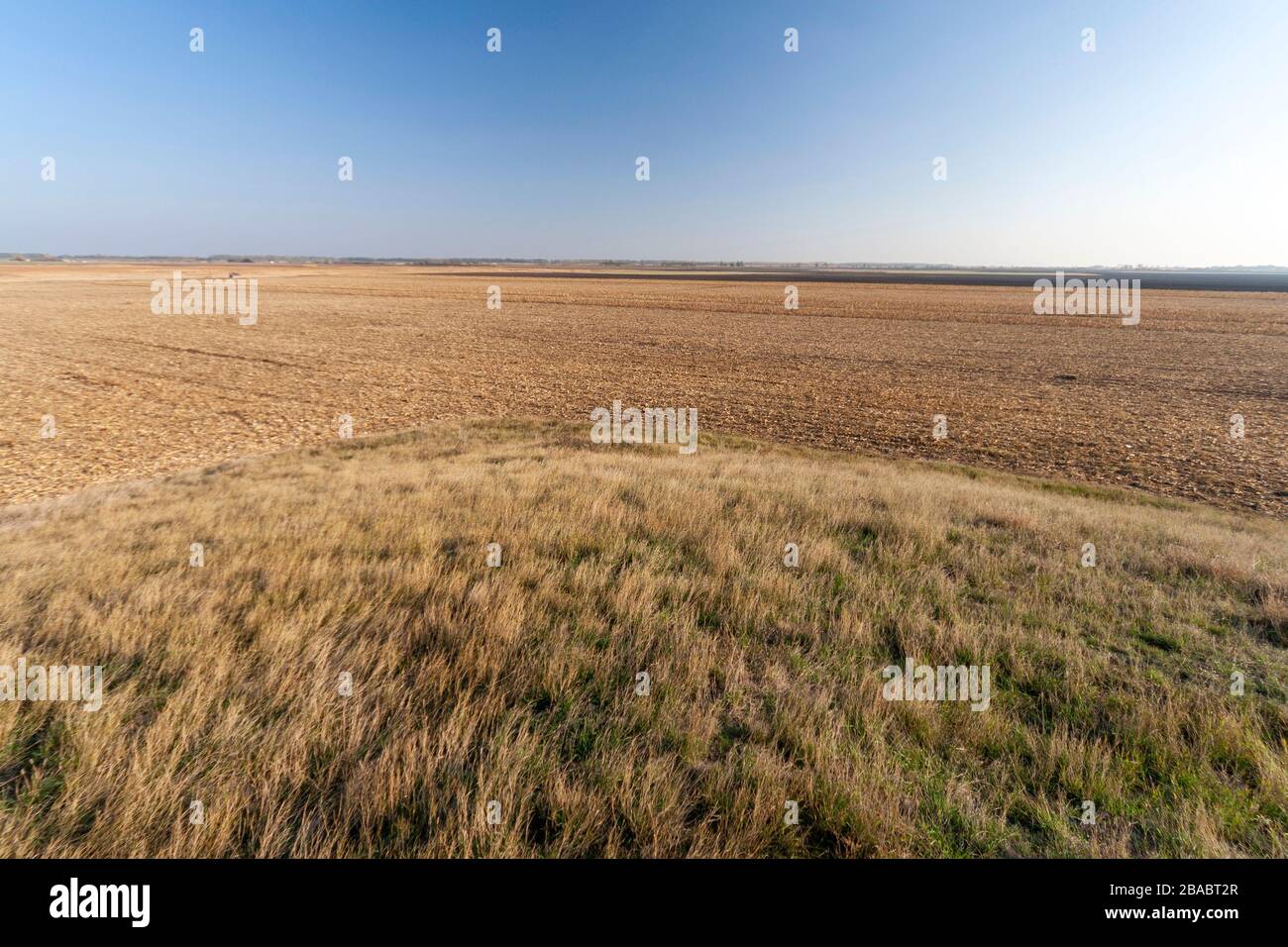 Great hungarian plain Banque de photographies et d’images à haute ...