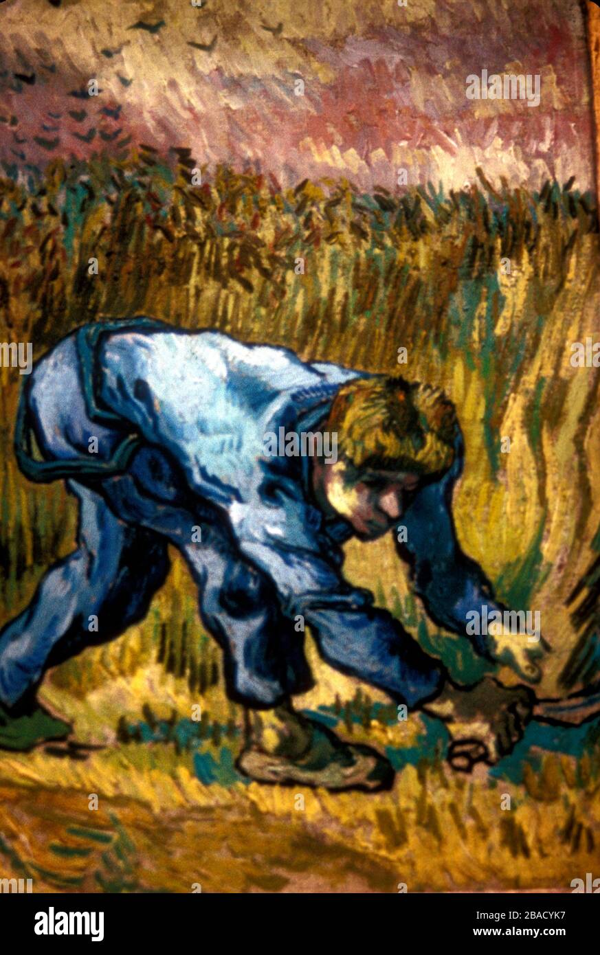 Le moissonneur van gogh Banque de photographies et d’images à haute ...
