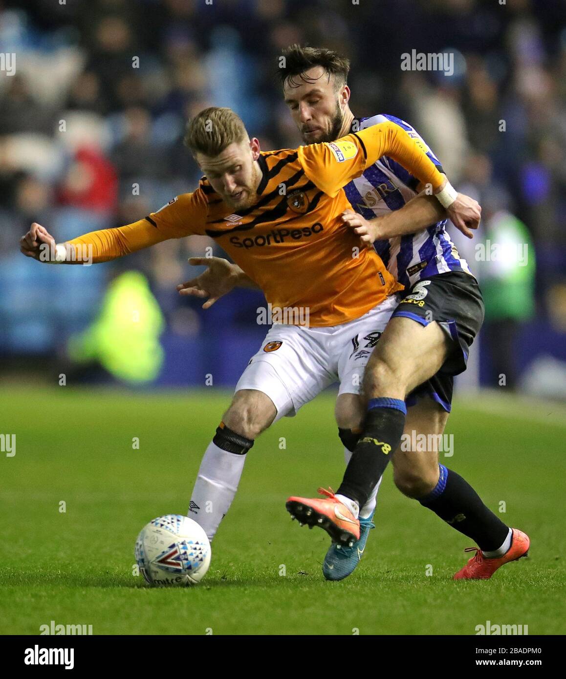 Sheffield mercredi morgan renard Banque de photographies et d’images à ...