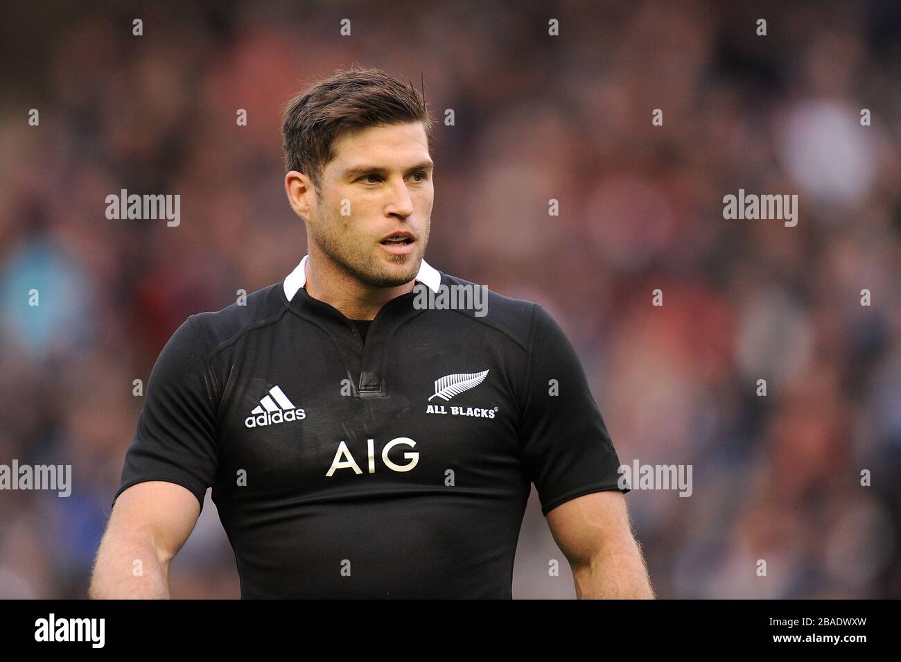 Cory jane Banque de photographies et d’images à haute résolution - Alamy