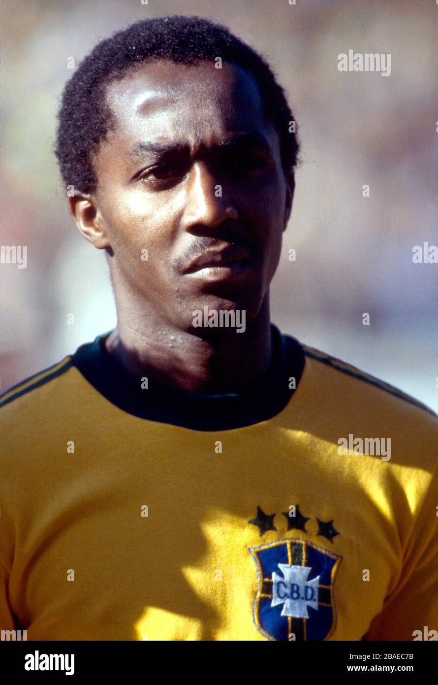 Amaral brazil Banque de photographies et d’images à haute résolution ...