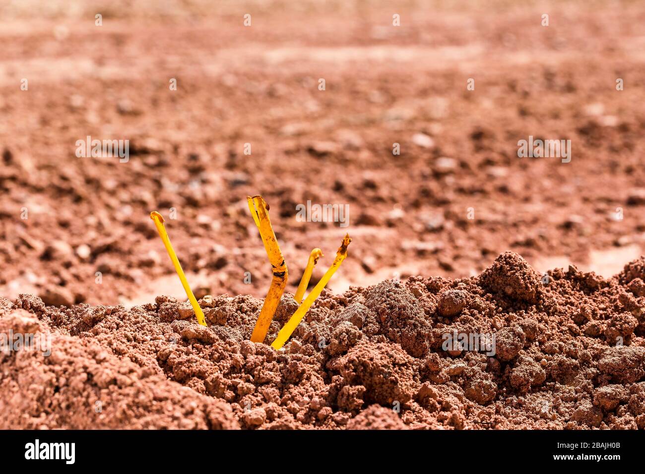 Sol rugueux Banque de photographies et d’images à haute résolution ...