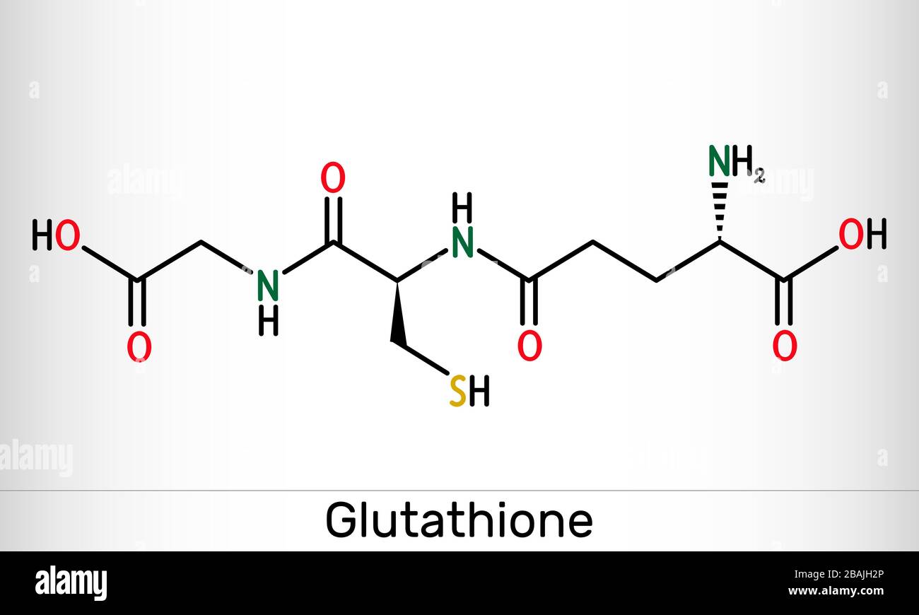 Glutathione molecular Banque d'images vectorielles - Alamy