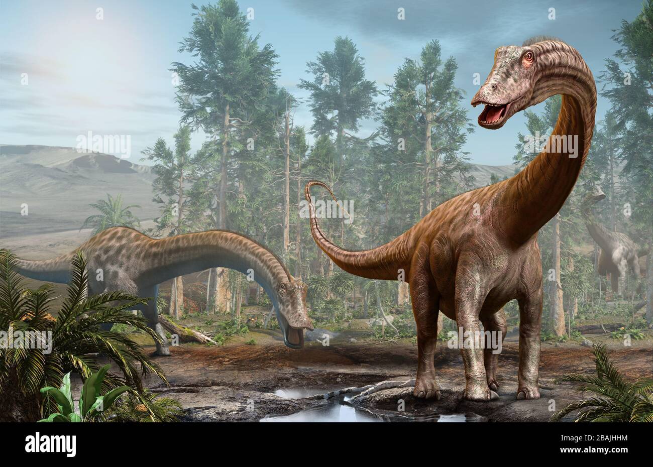 Forêt jurassique Banque de photographies et d’images à haute résolution ...