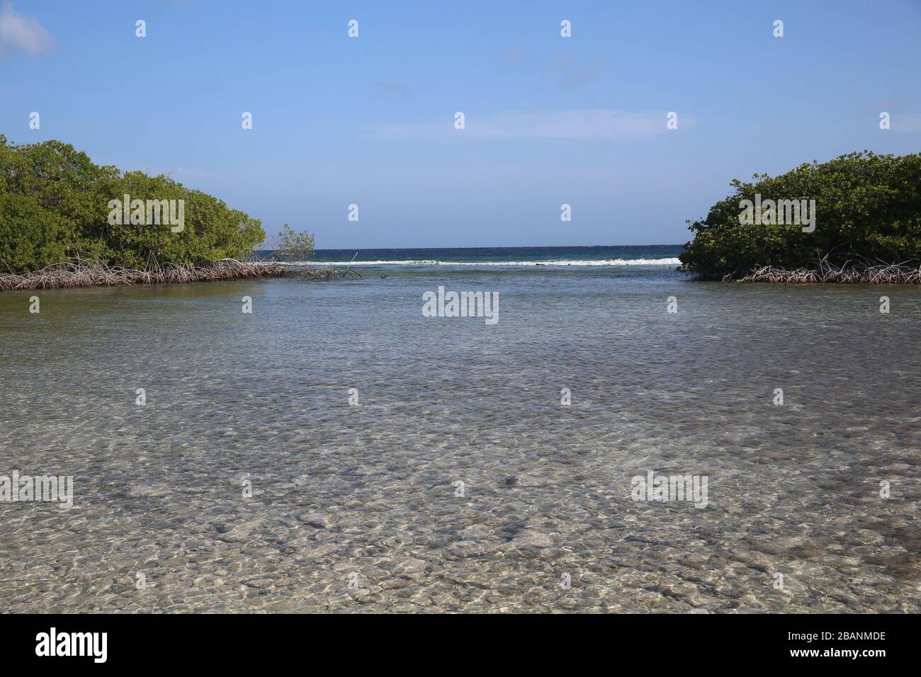 Mangel halto beach Banque de photographies et d’images à haute ...