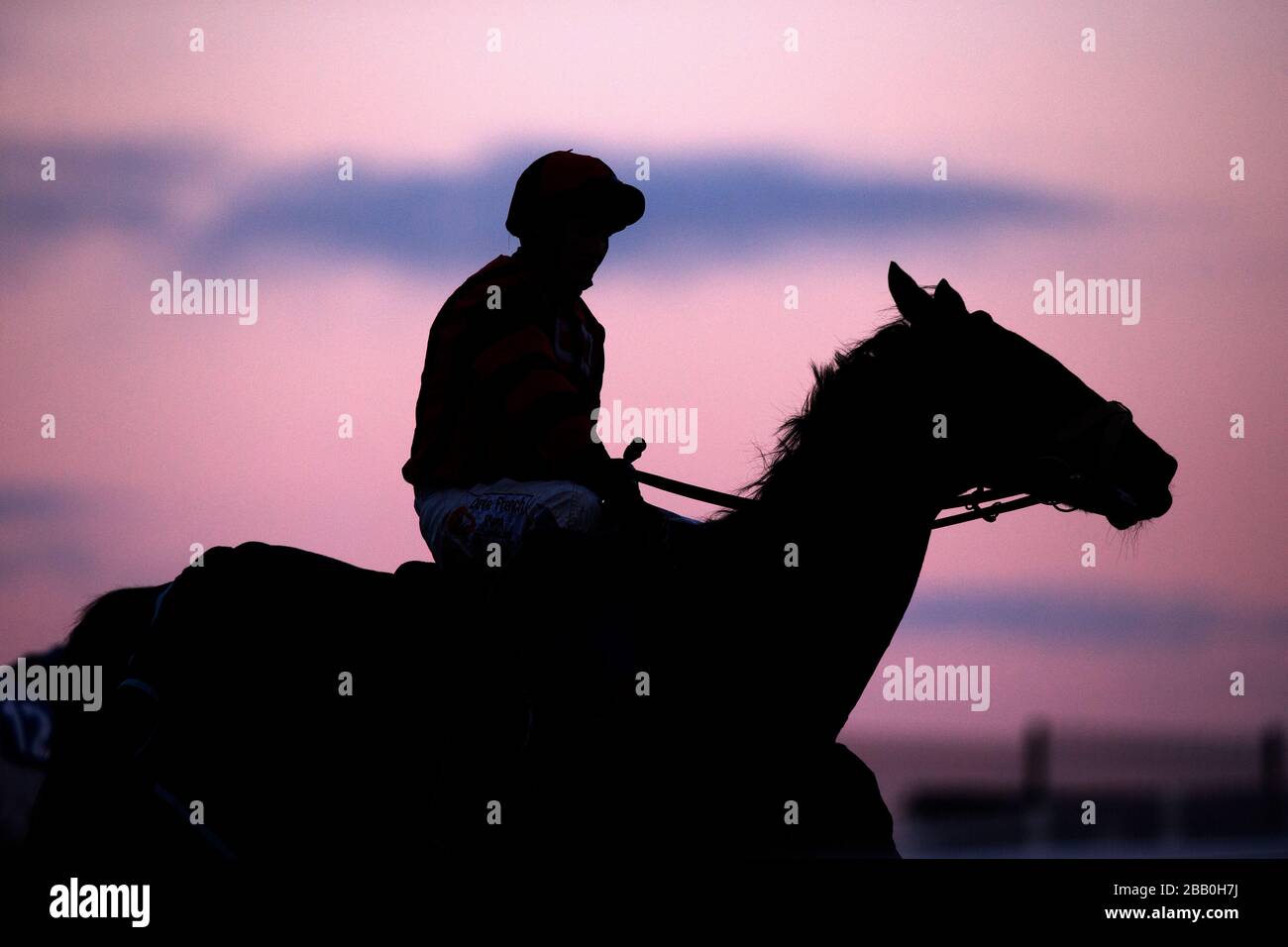 Une main stable conduit le jockey et le cheval Banque de photographies ...
