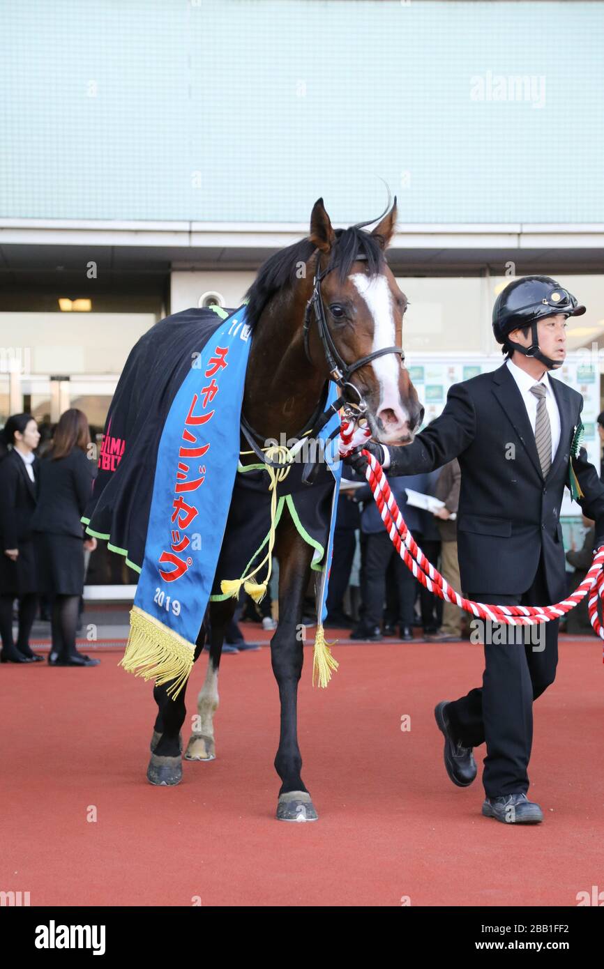 Hyogo, Japon. 30 novembre 2019. Lord My Way Horse Racing : Lord My Way ...