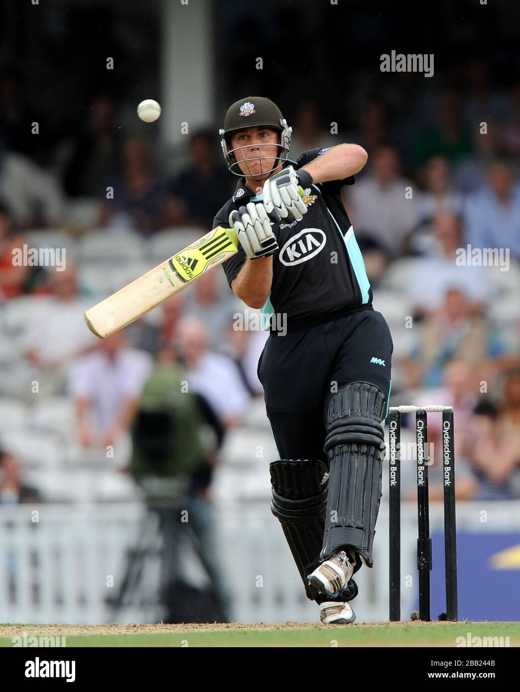 Surreys rory hamilton brown frappe Banque de photographies et d’images ...