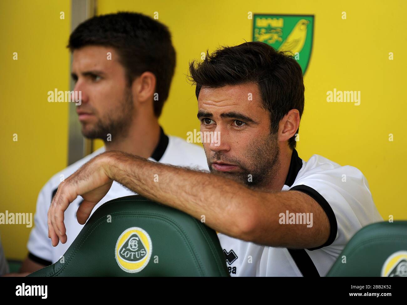 Simon lapin Banque de photographies et d’images à haute résolution - Alamy