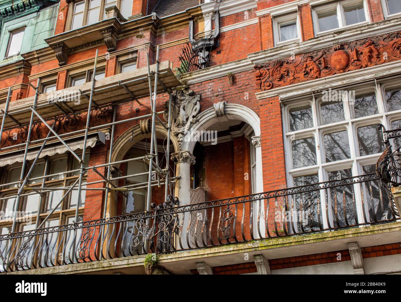 Orme court Banque de photographies et d’images à haute résolution - Alamy