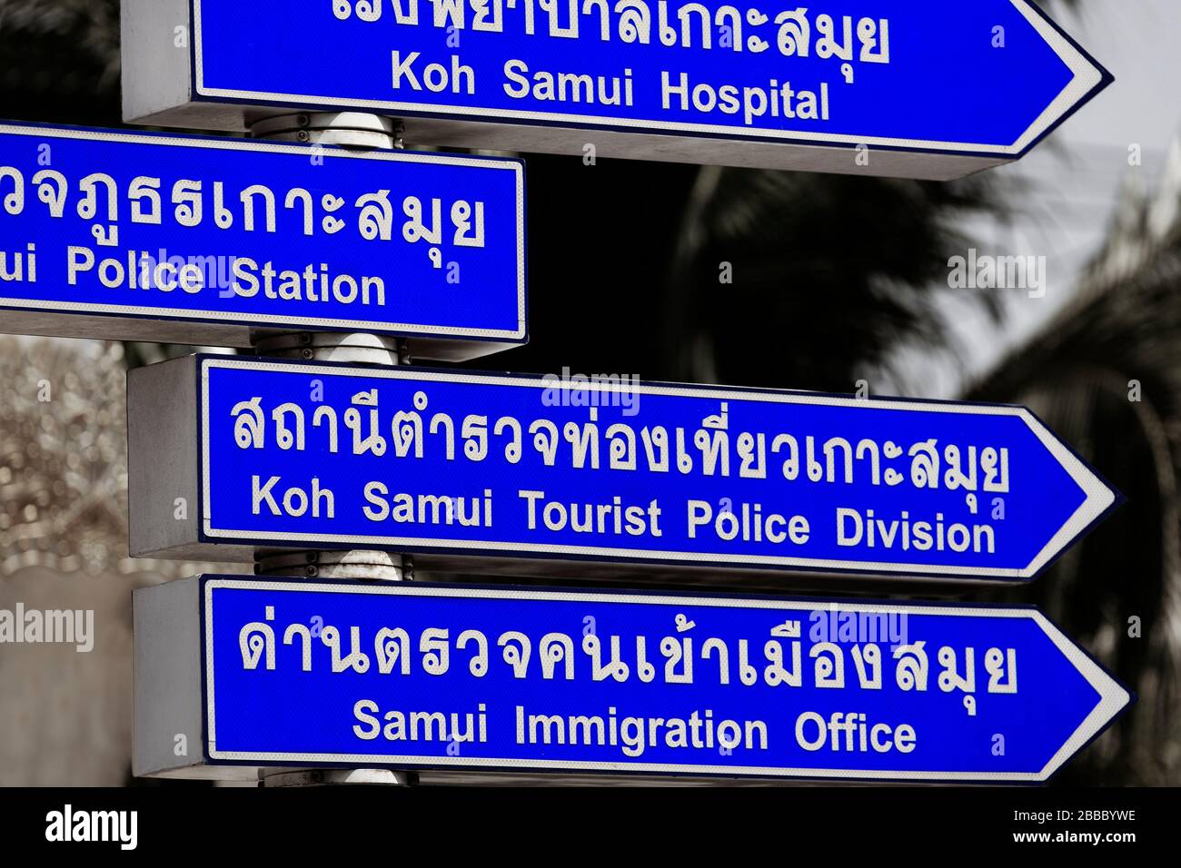 Koh samui street Banque de photographies et d’images à haute résolution ...