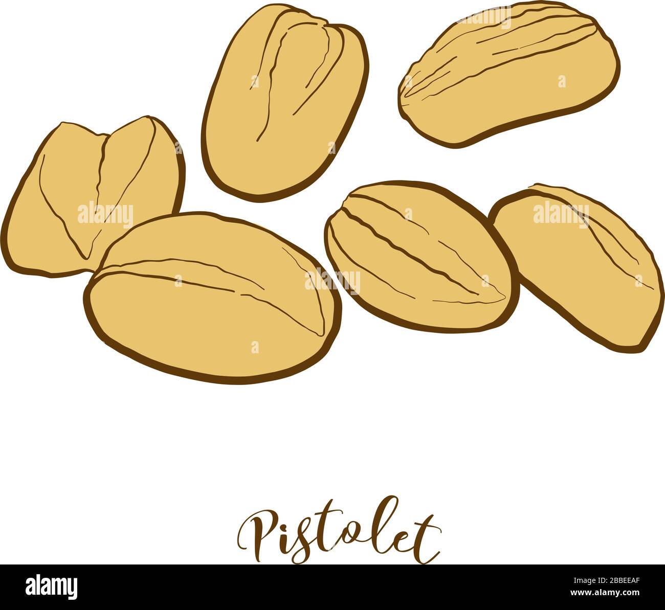 Dessin coloré de pain de pistolet. Illustration vectorielle de la ...