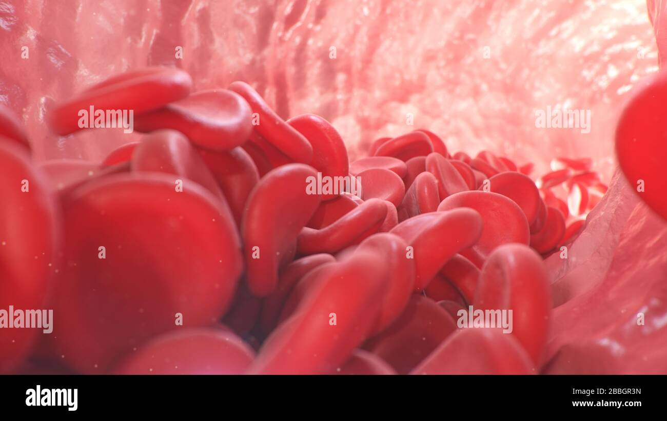 illustration tridimensionnelle des globules rouges à l'intérieur d'une ...