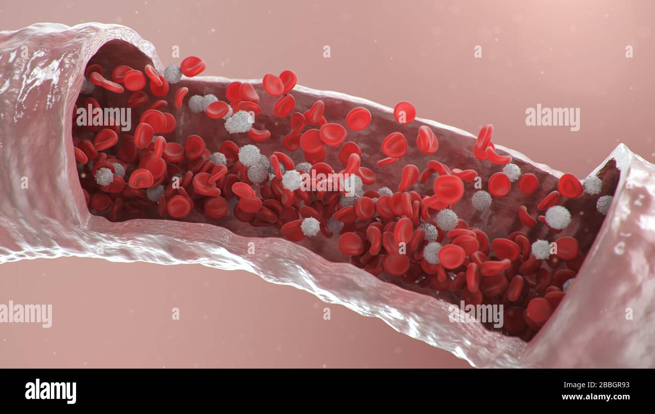 illustration tridimensionnelle des globules rouges à l'intérieur d'une ...