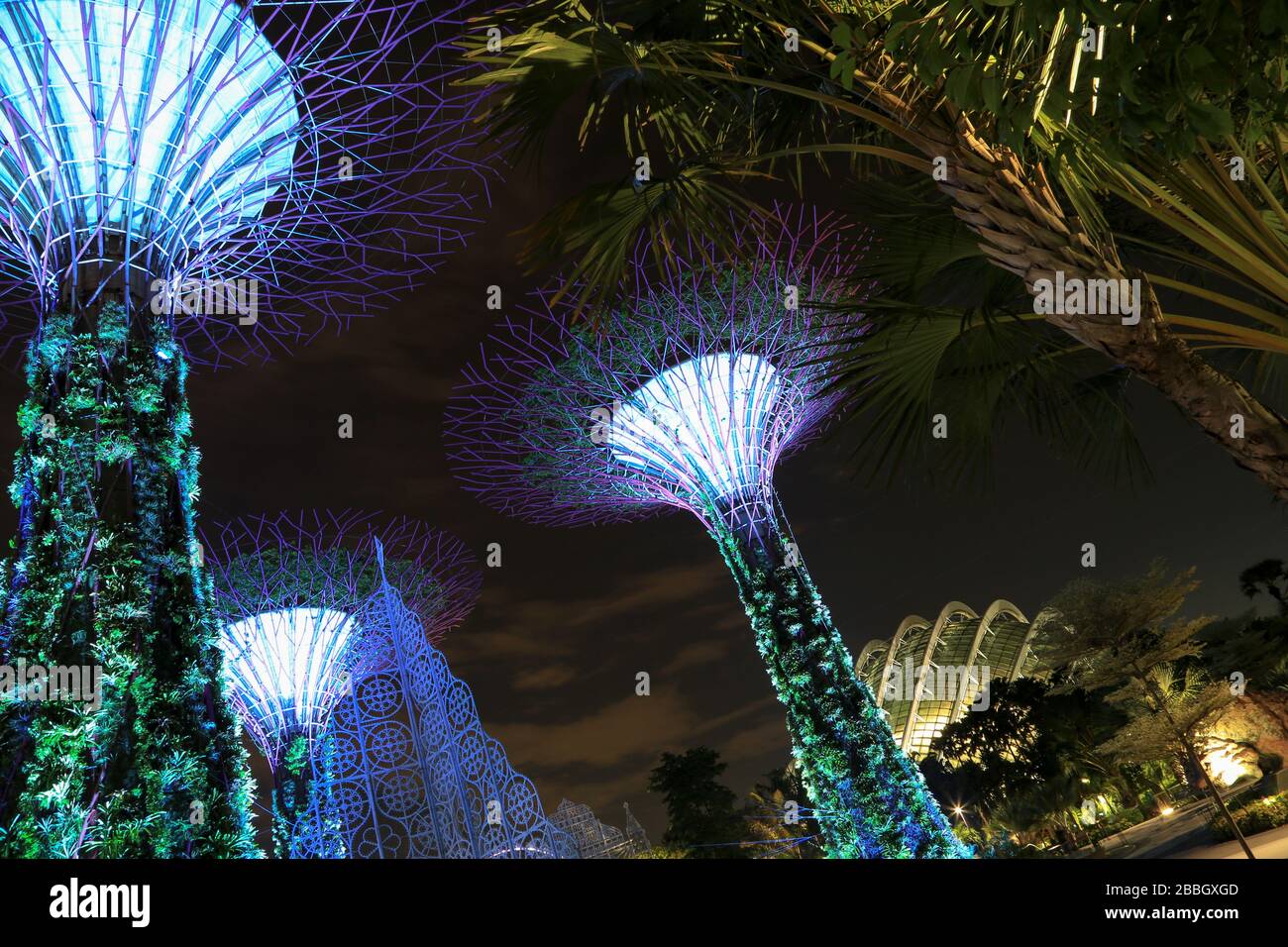 Supertrees singapour buildings Banque de photographies et d’images à ...