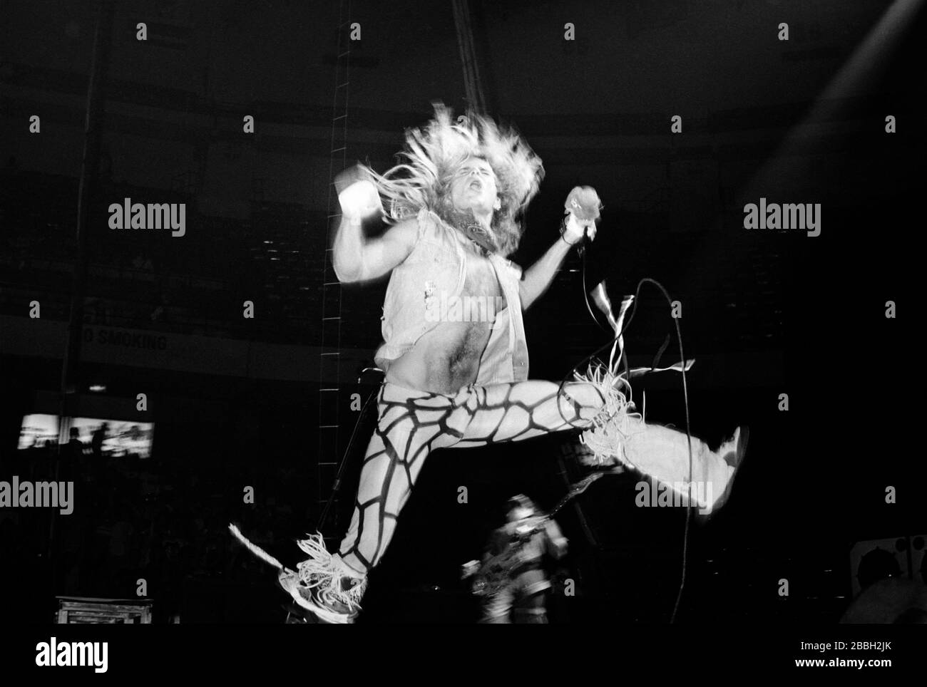 David lee roth 1981 Banque de photographies et d’images à haute ...