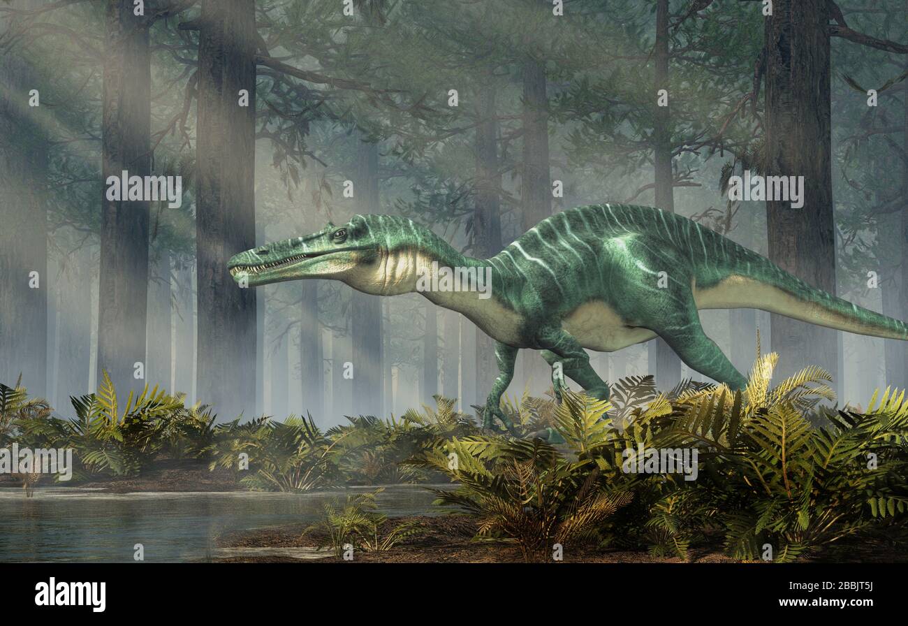 Suchomimus était un grand dinosaure de théropodes carnivores ...