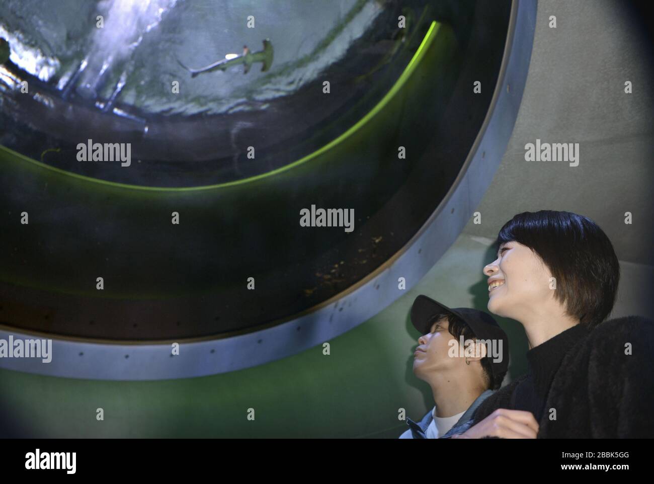 L'aquarium de Shikoku, l'un des plus grands de la région de Shikoku ...