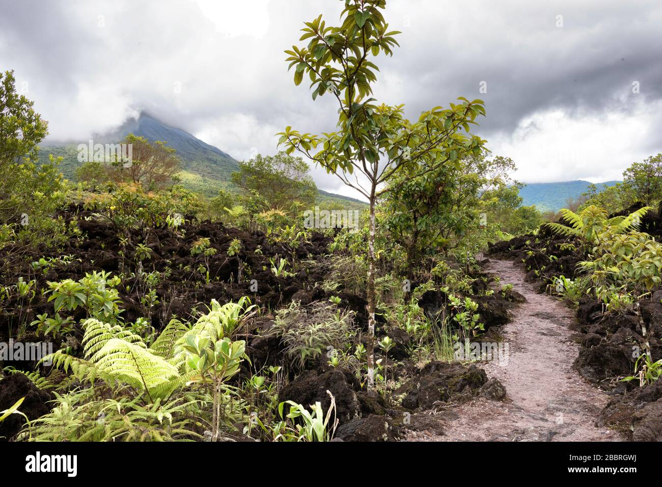 Sentier de lave autour du volcan Arenal au Costa Rica. Concept de ...