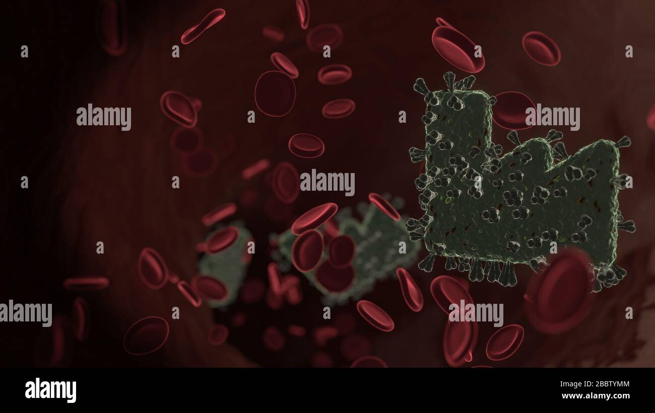 Production of blood cells Banque de photographies et d’images à haute ...