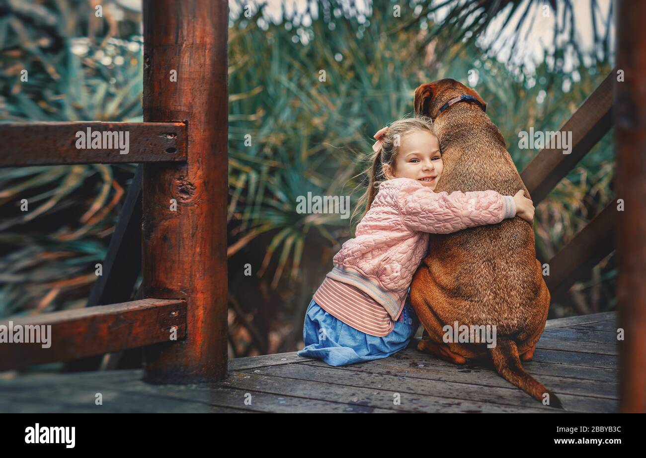 Une jolie petite fille hople un grand chien hongrois vizsla assis ...