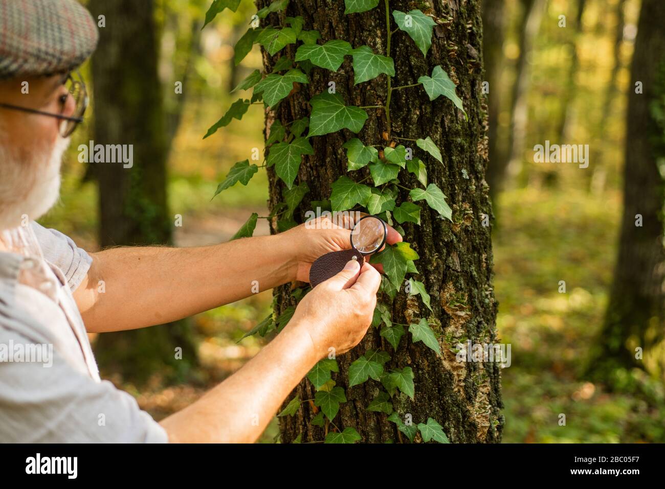 Ancien homme scientifique. Grand-père barbu en forêt. Curiosité à la ...