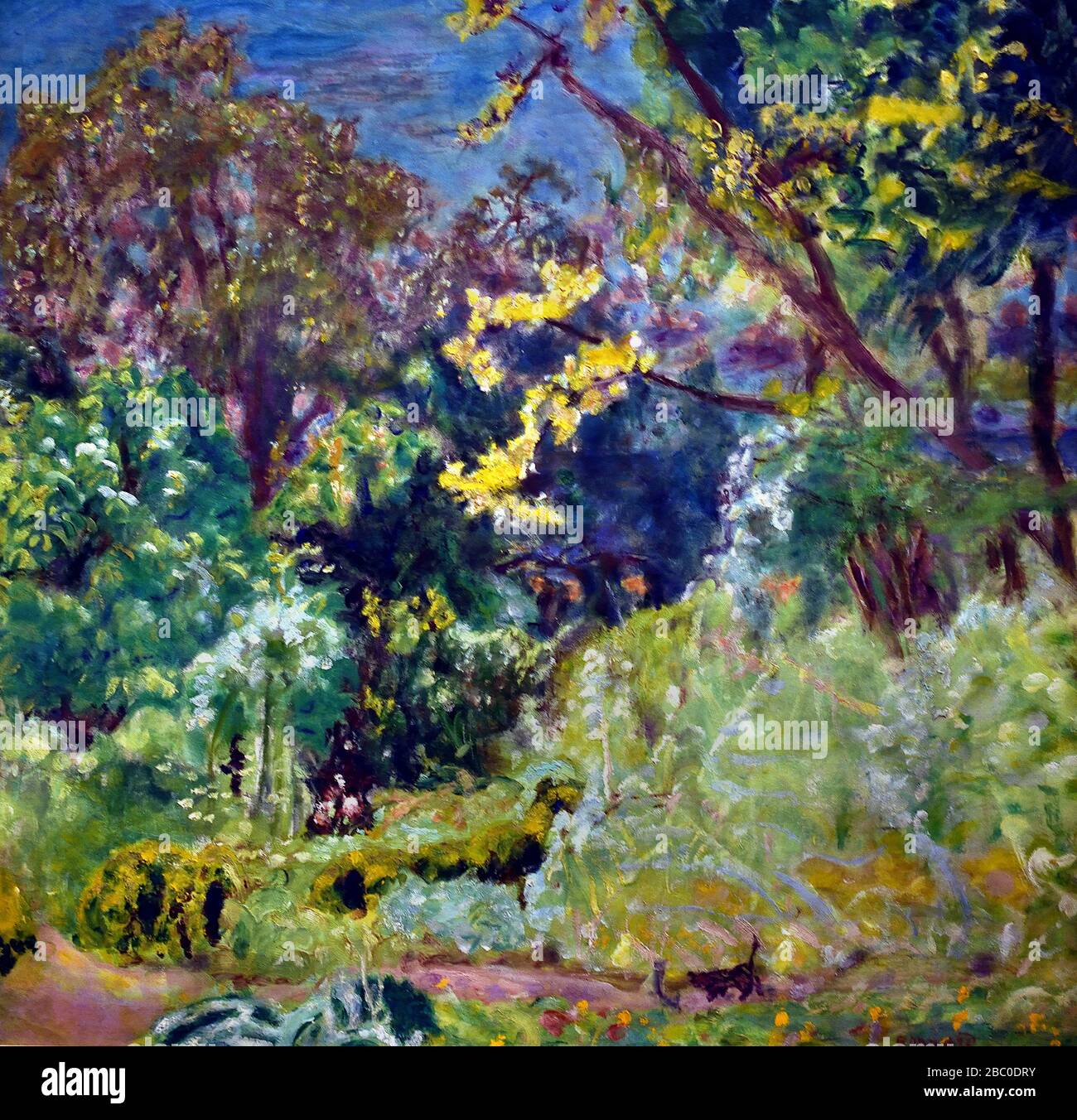 Pierre bonnard painting Banque de photographies et d’images à haute ...