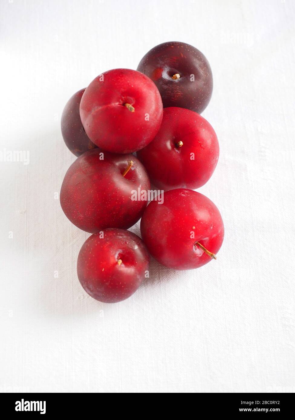 Santa rosa plum Banque de photographies et d’images à haute résolution ...