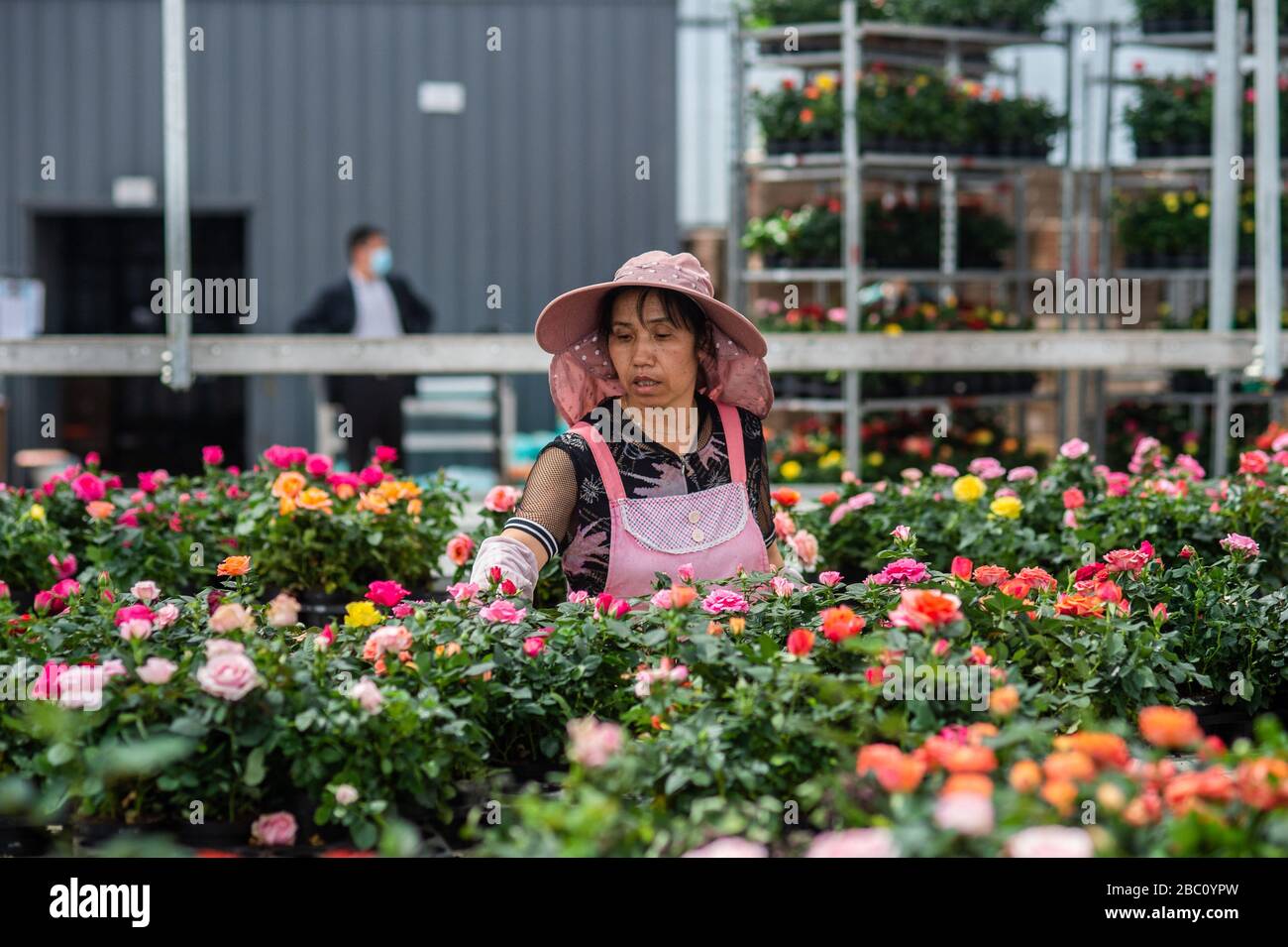 Kunming, province chinoise du Yunnan. 2 avril 2020. Un membre du ...