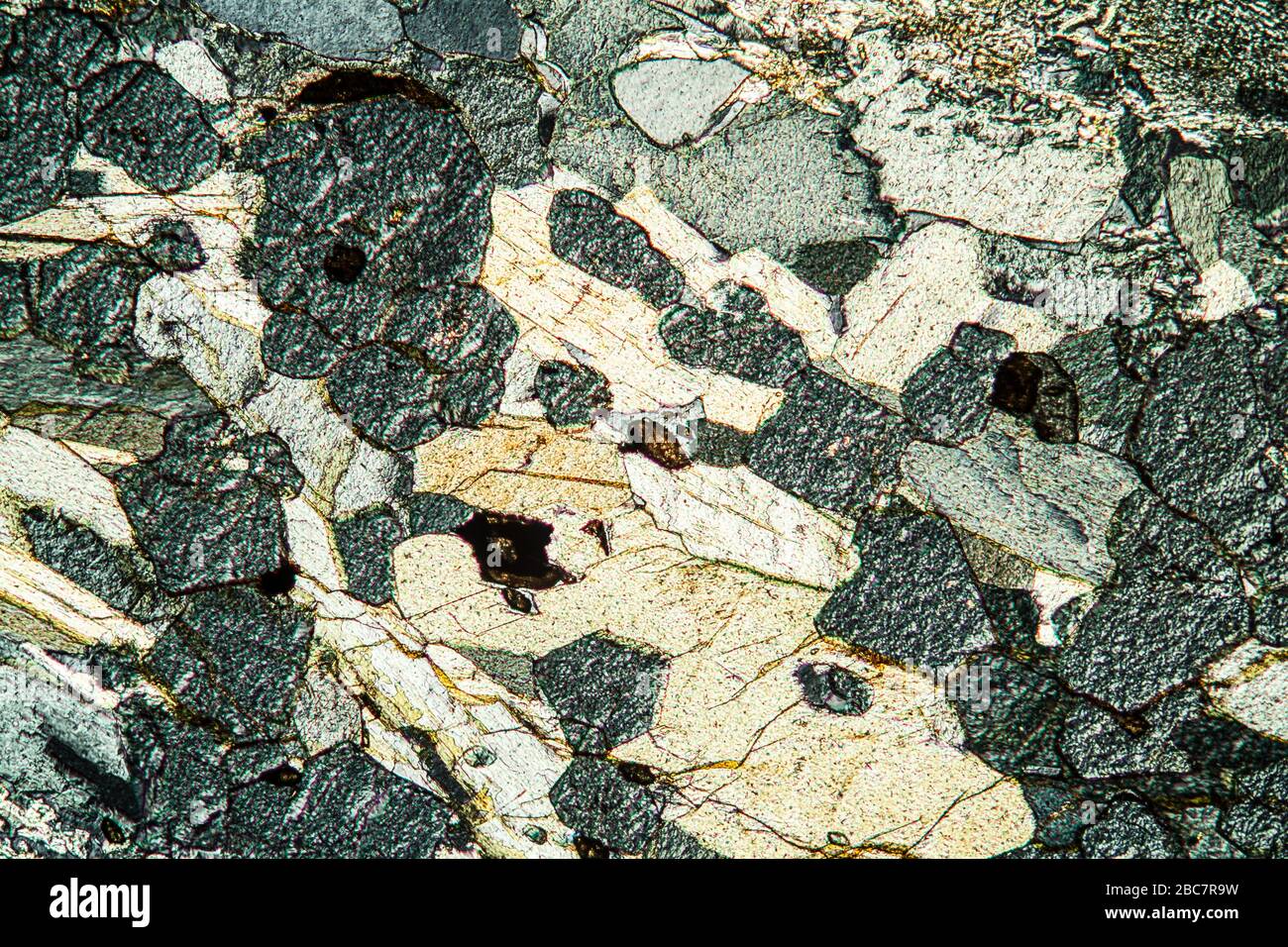 Roche métamorphique sous microscope Banque de photographies et d’images ...