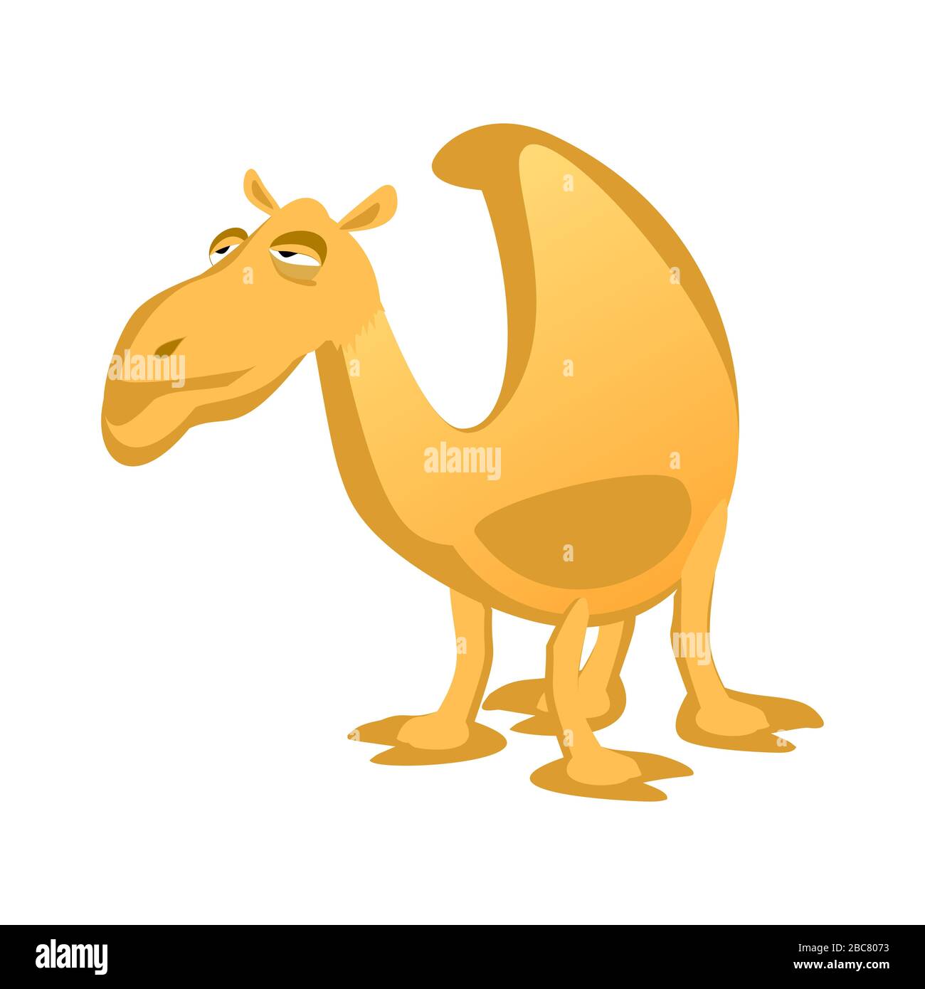 Camel de dessin animé isolé sur un fond blanc, illustration vectorielle ...
