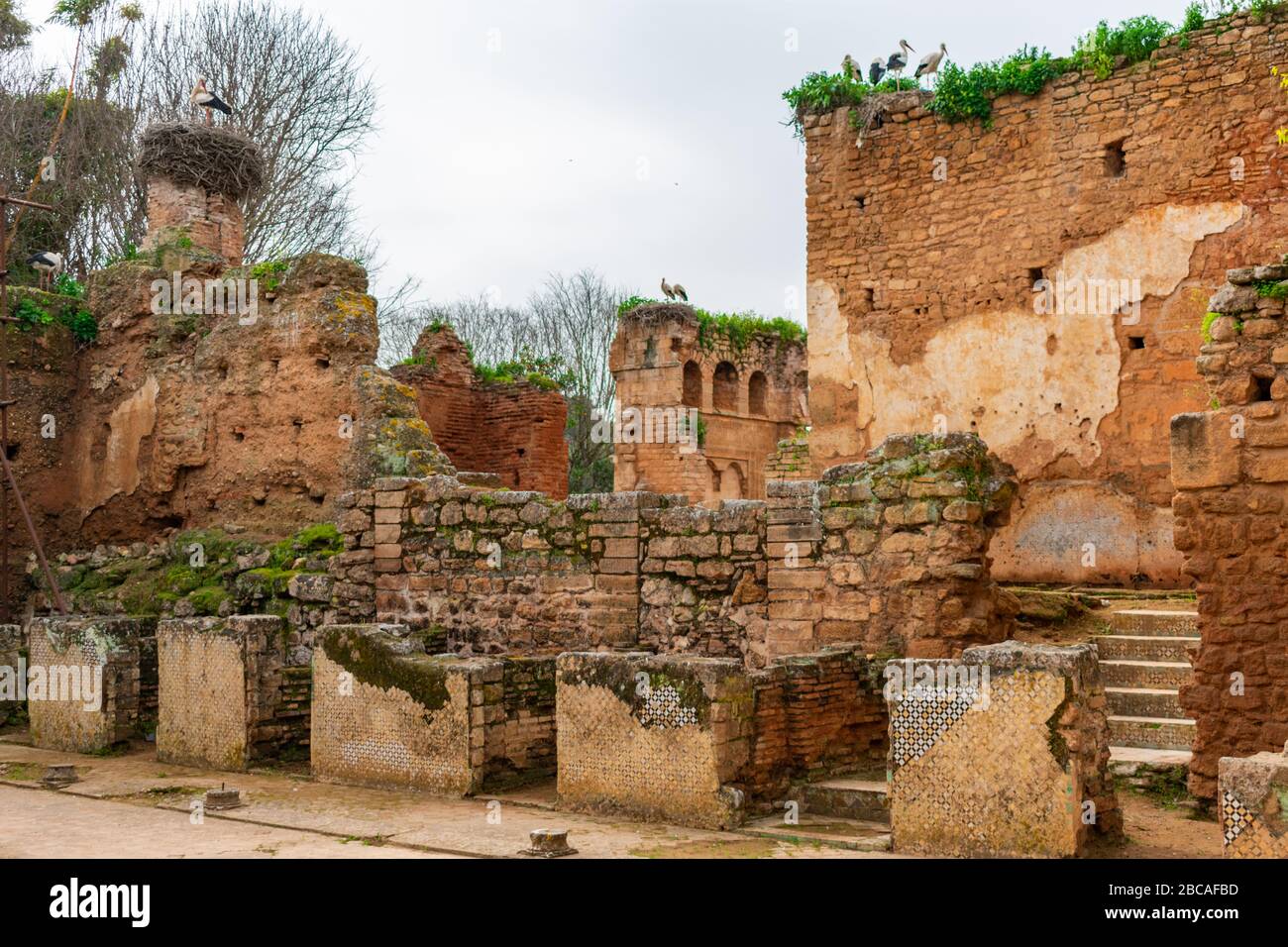 Vieilles ruines forteresse porte plantes vertes Banque de photographies ...