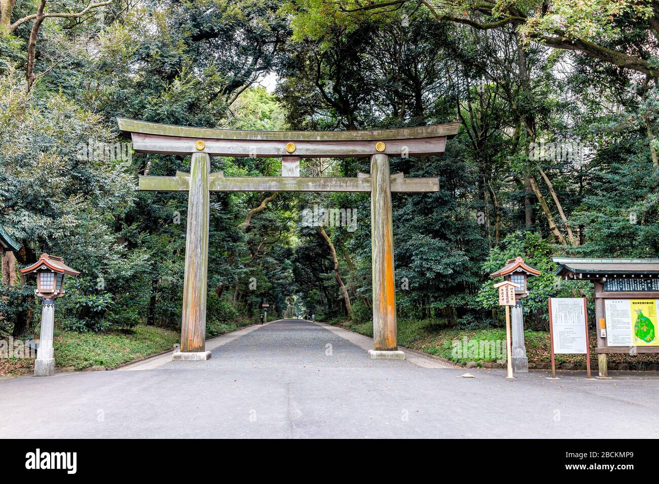 Tori torii porte temple sanctuaire tokyo Banque de photographies et d ...