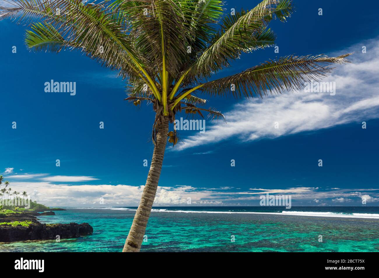 Plage tropicale sur le côté sud de l'île de Samoa avec palmiers à noix ...