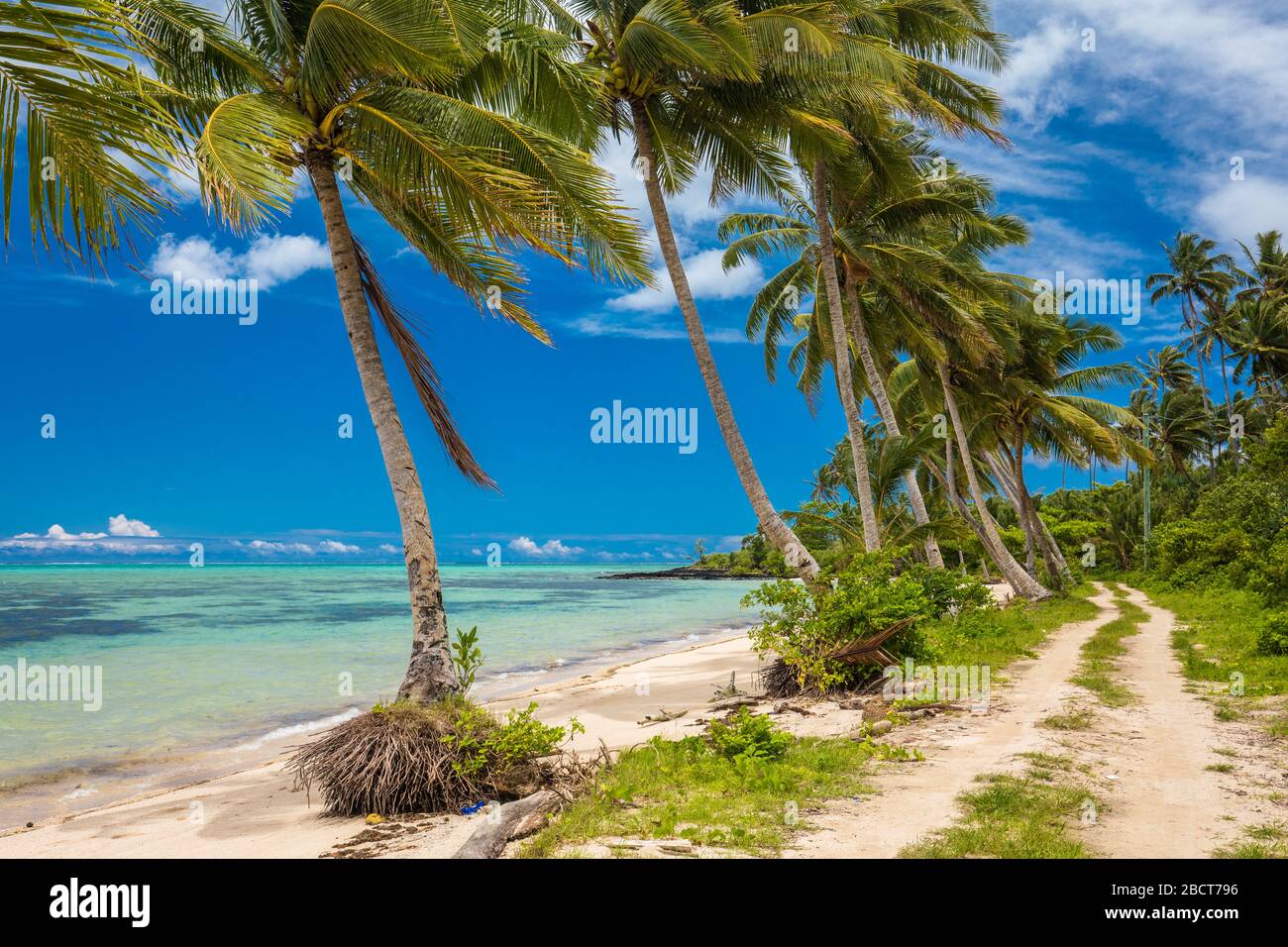 Plage tropicale sur le côté sud de l'île de Samoa avec palmiers à noix ...