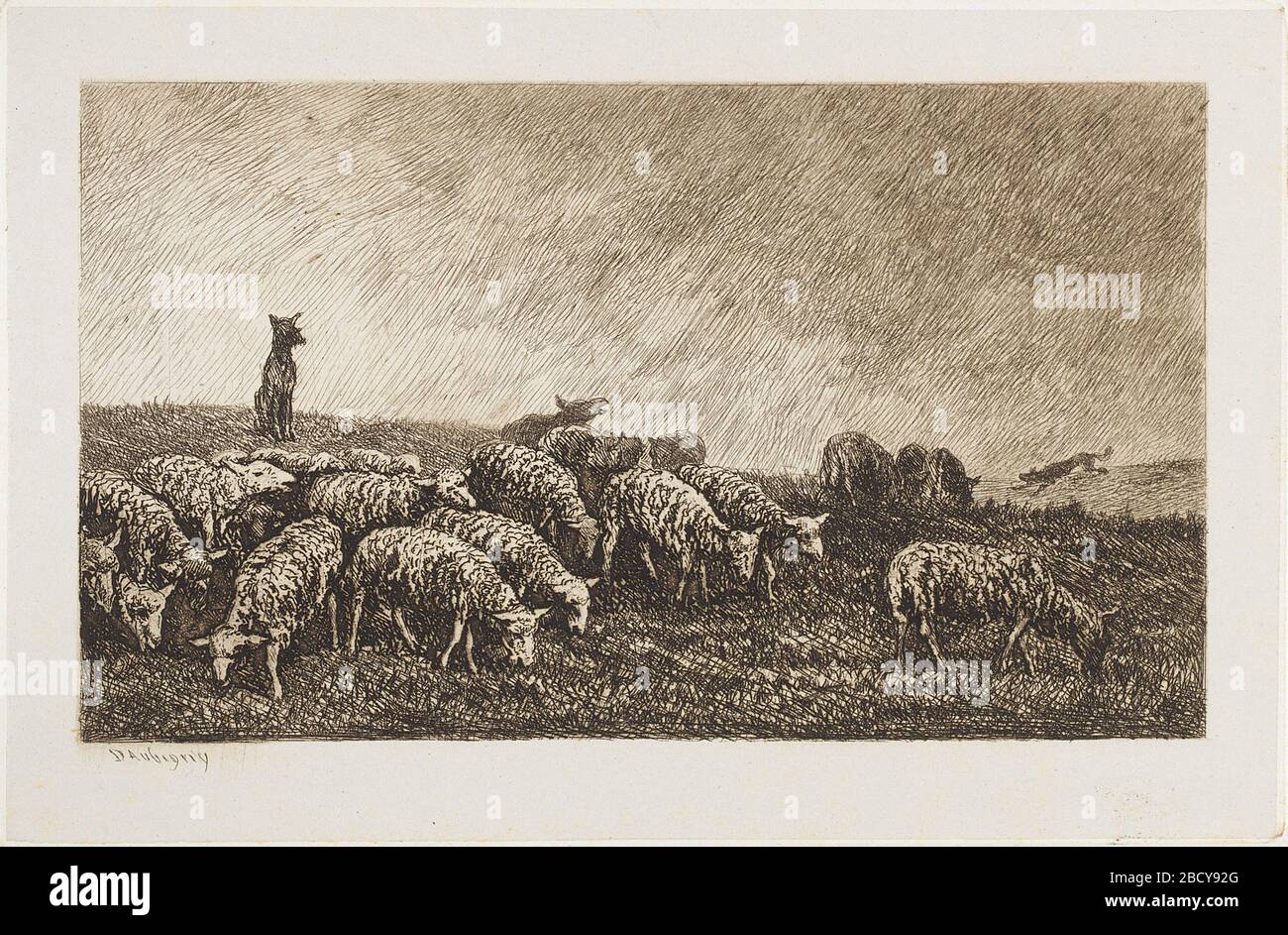 Le guet du chien Banque de photographies et d’images à haute résolution ...