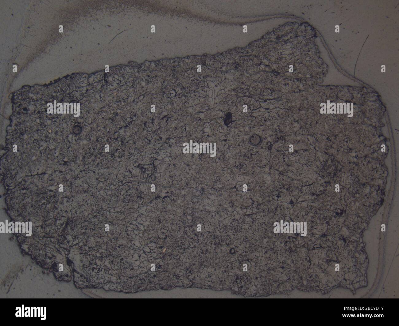 Micrographe de la météorite que 93723,3 sous lumière réfléchie avec un ...