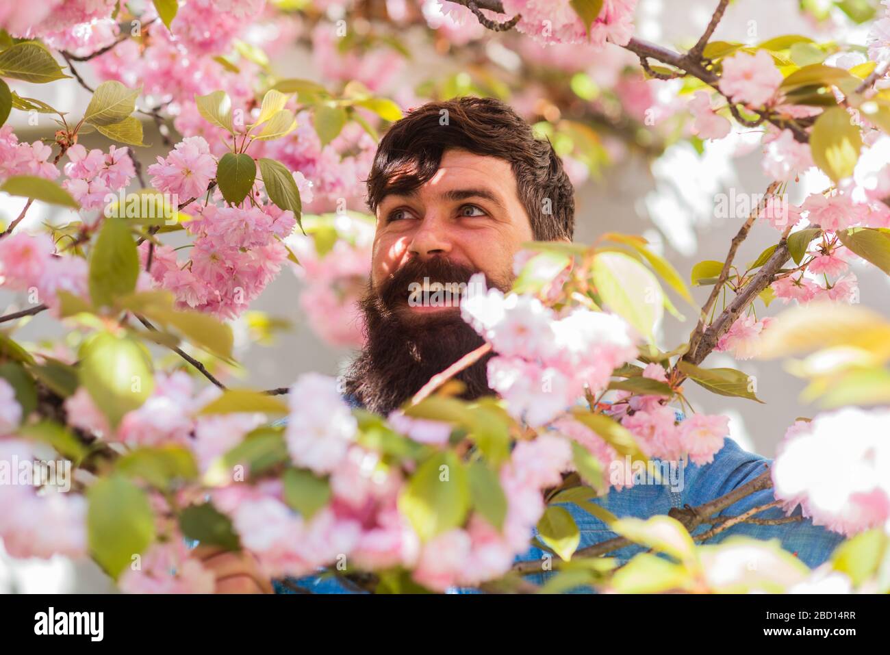 Week-end dans le jardin concept. Beaucoup de fleurs autour du gars. Se ...