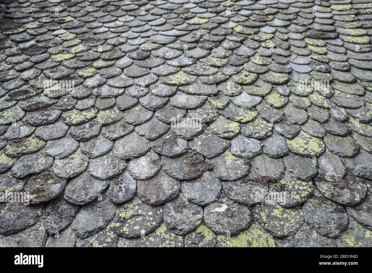 Slate roof texture Banque de photographies et d’images à haute ...