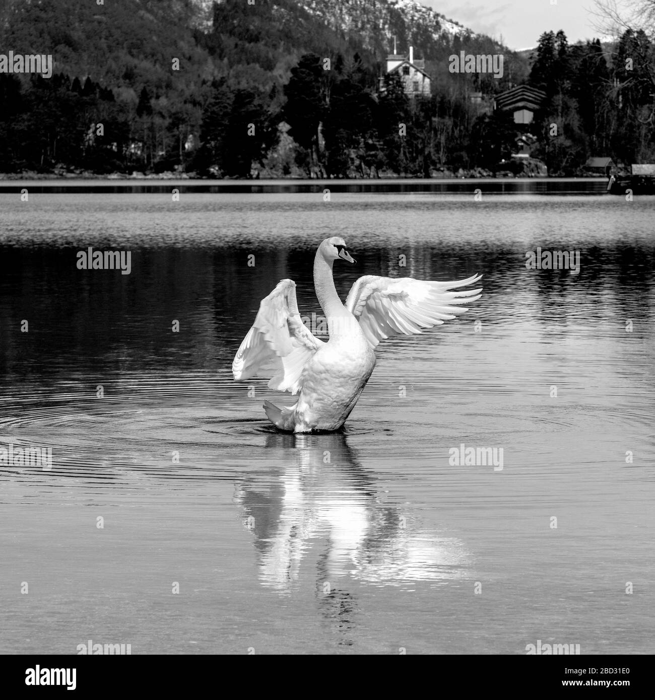 Bergen winter Banque d'images noir et blanc - Alamy