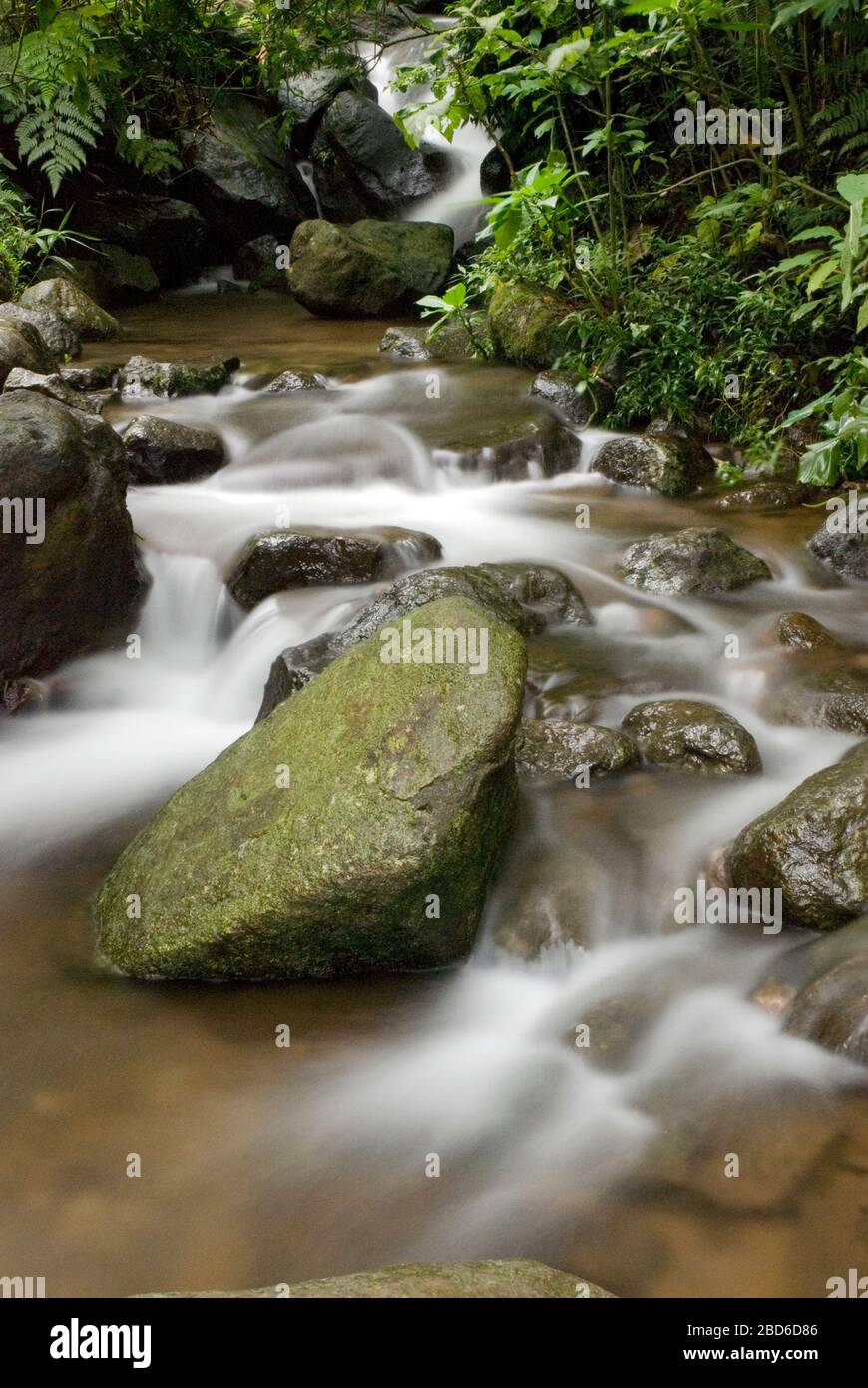 Cascade dans l'ouest de java Banque de photographies et d’images à ...