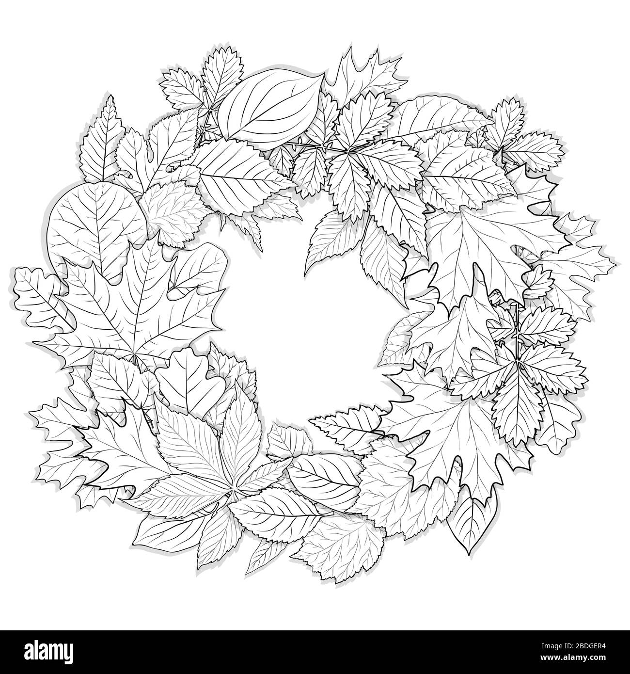 Jeu de feuilles à colorier pour vector Image Vectorielle Stock - Alamy