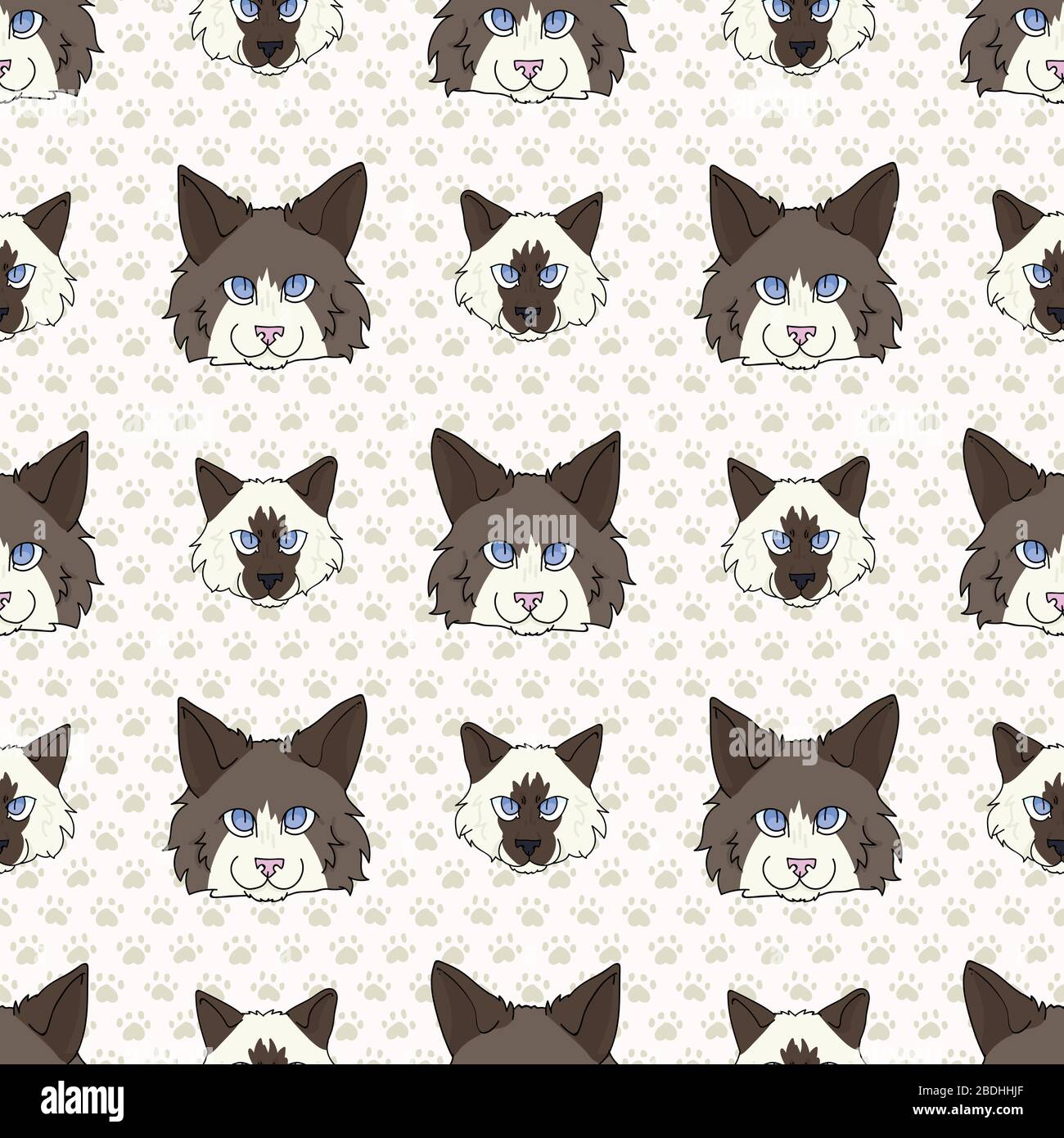 Ragdoll chaton mignon Banque d'images vectorielles - Alamy