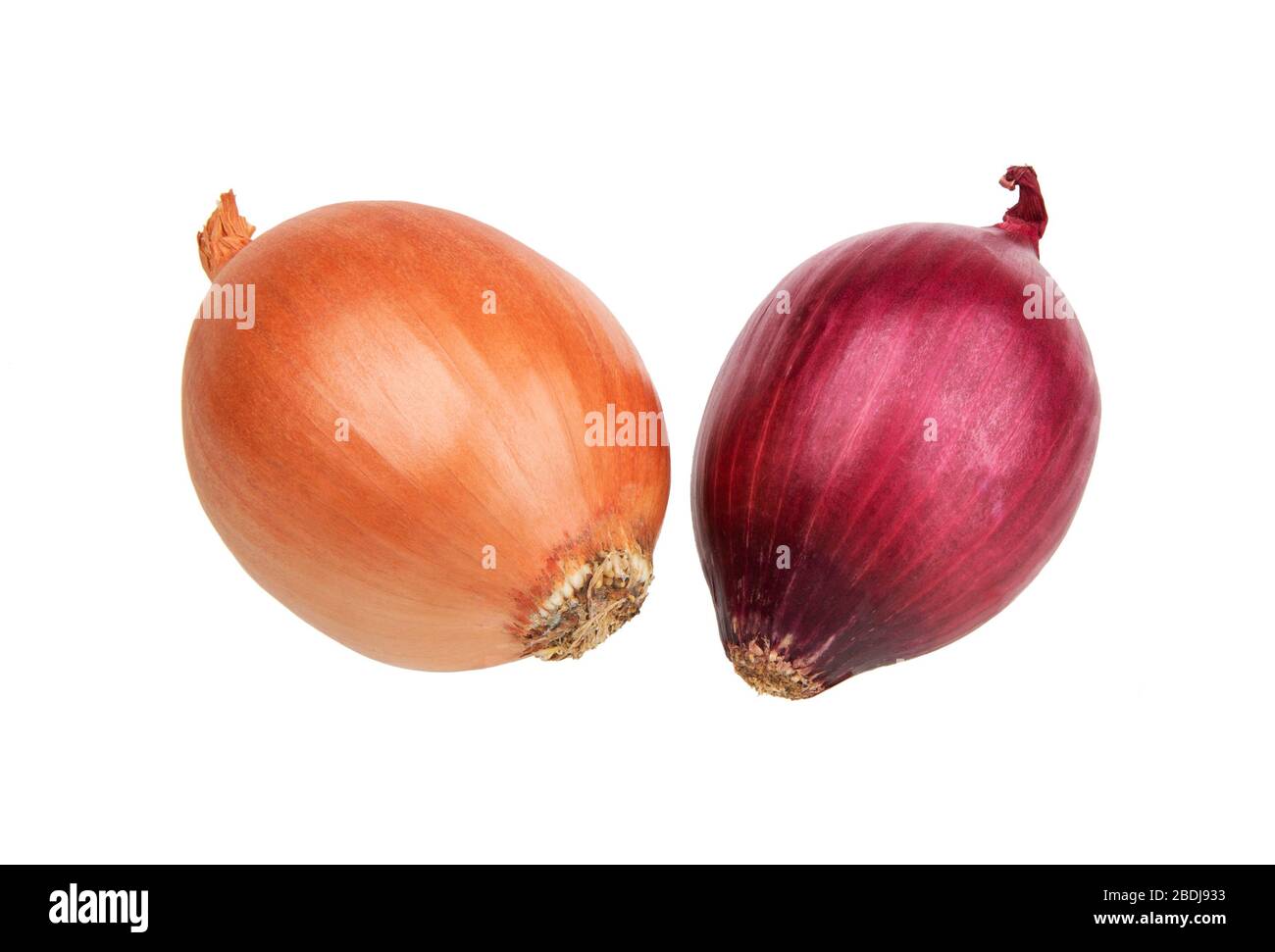 Oignon rouge bio Banque de photographies et d’images à haute résolution ...